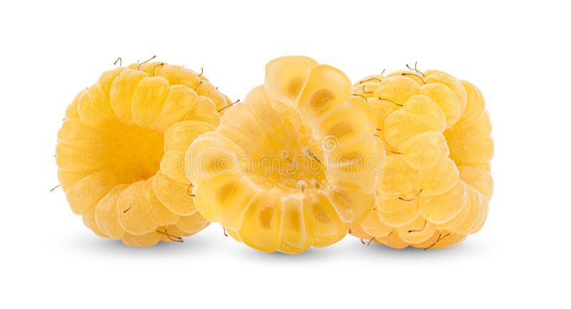 White Raspberries Isolated on White Stock Photo - Image of organic ...