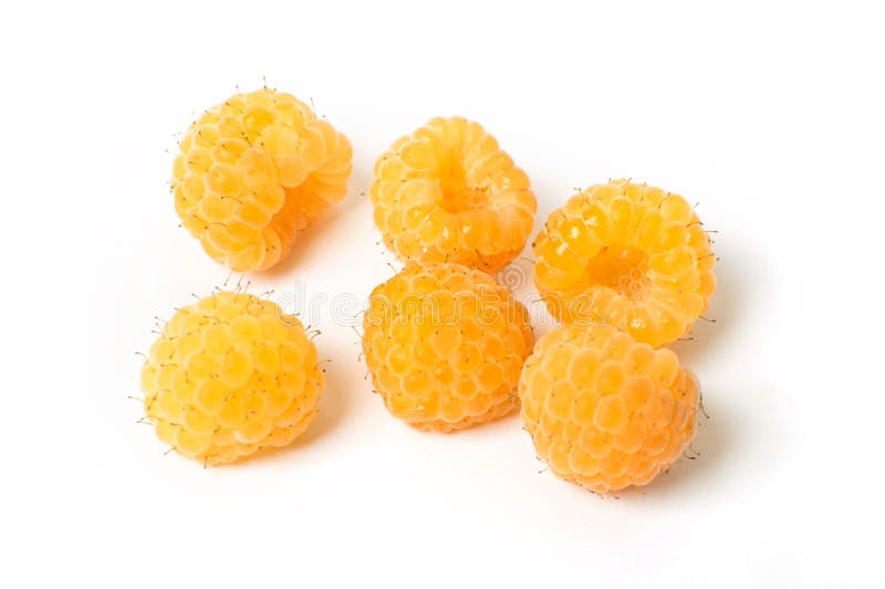 White Raspberry Fruits with Leafs on White Background Stock Image ...