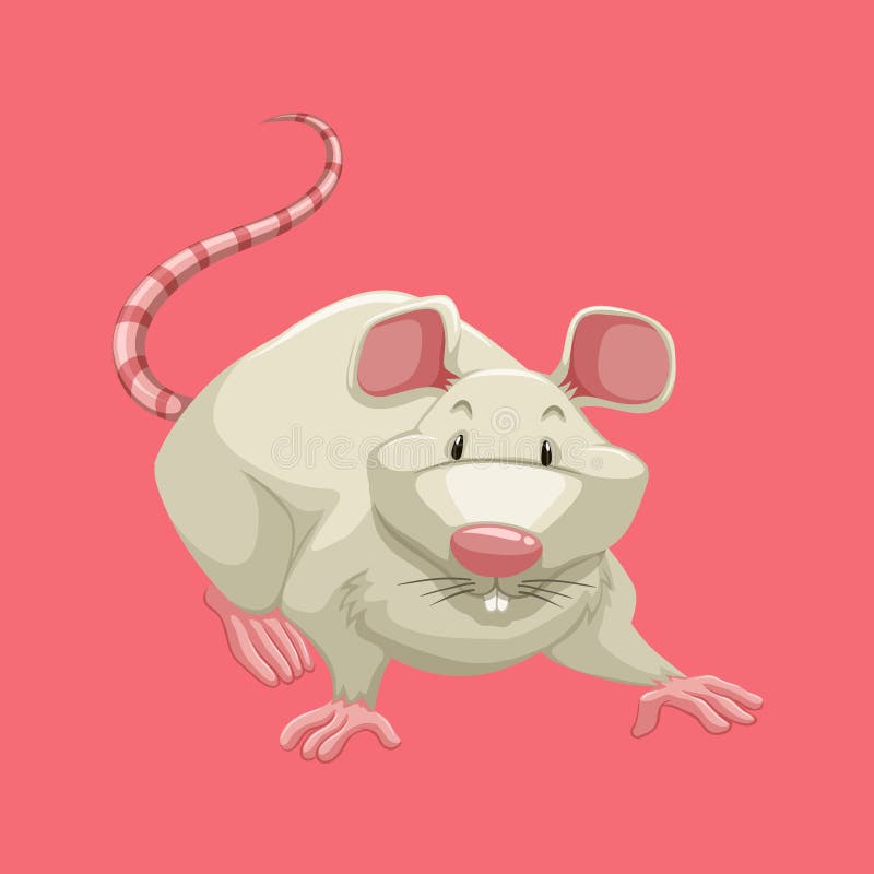 White rat on pink stock vector. Illustration of character - 57657739