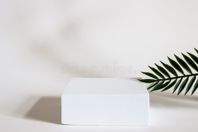 White Rectangular Box with Shadows on a Light White Background. for ...