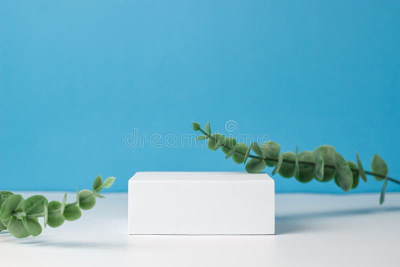 White Rectangular Box with Shadows on a Light White Blue Background ...