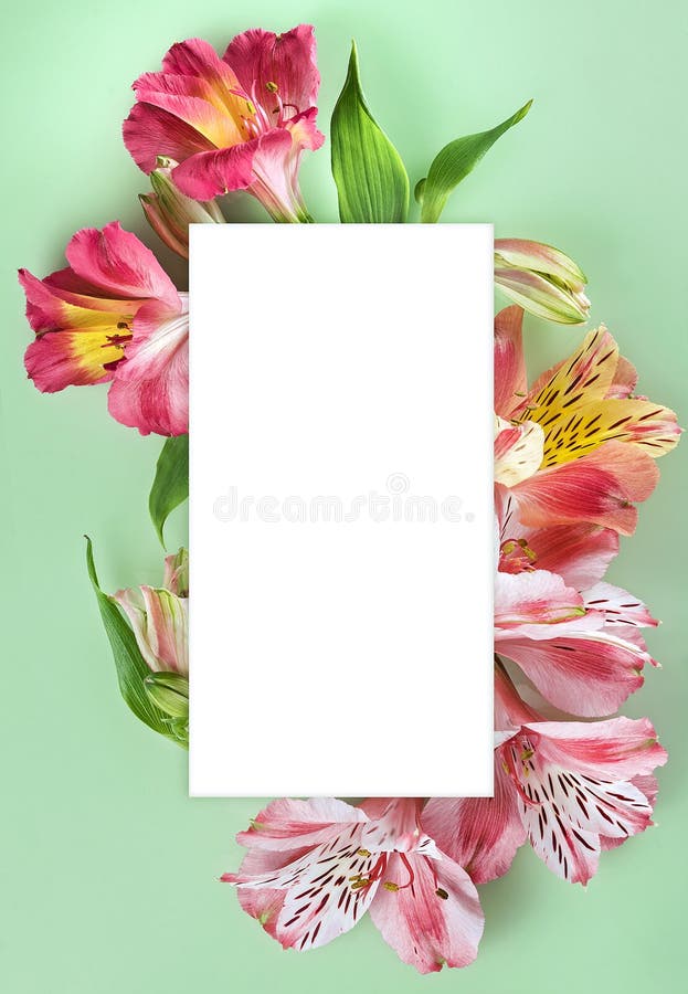 White Rectangular Frame Background with Bright Colors on Pastel ...