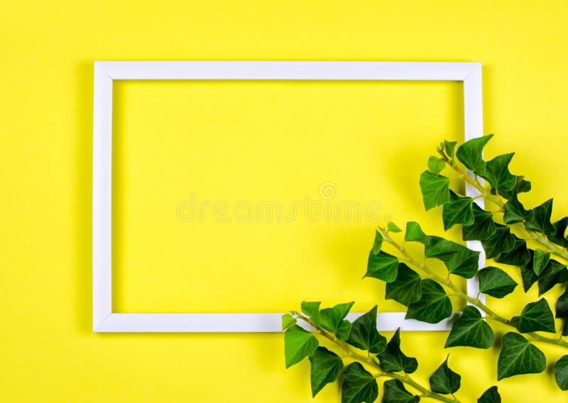 White Rectangular Frame on a Yellow Background Decorated with Ivy ...