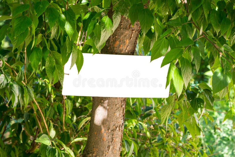 A White, Rectangular Sign Tied To a Tree without Nails, in the Green ...