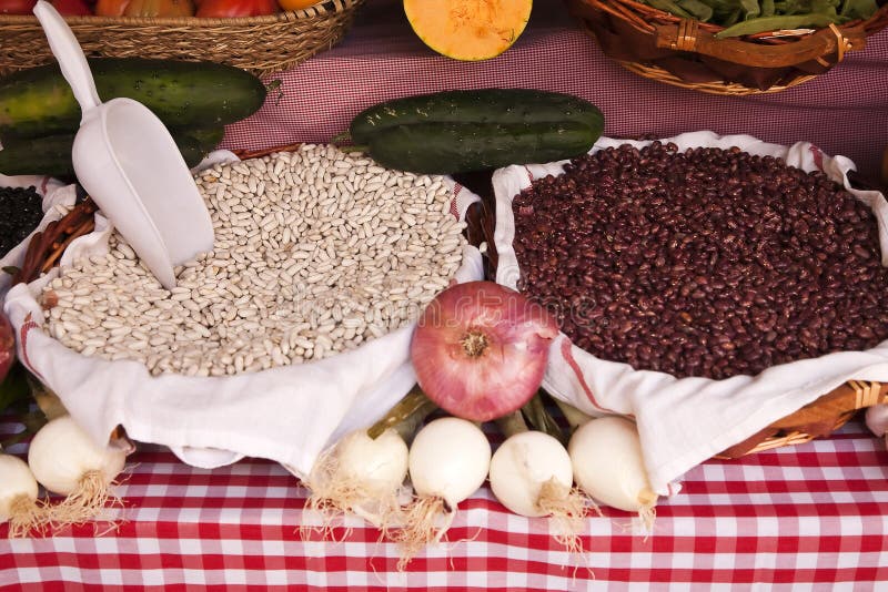 White and red Basque beans stock photo. Image of country - 11191350