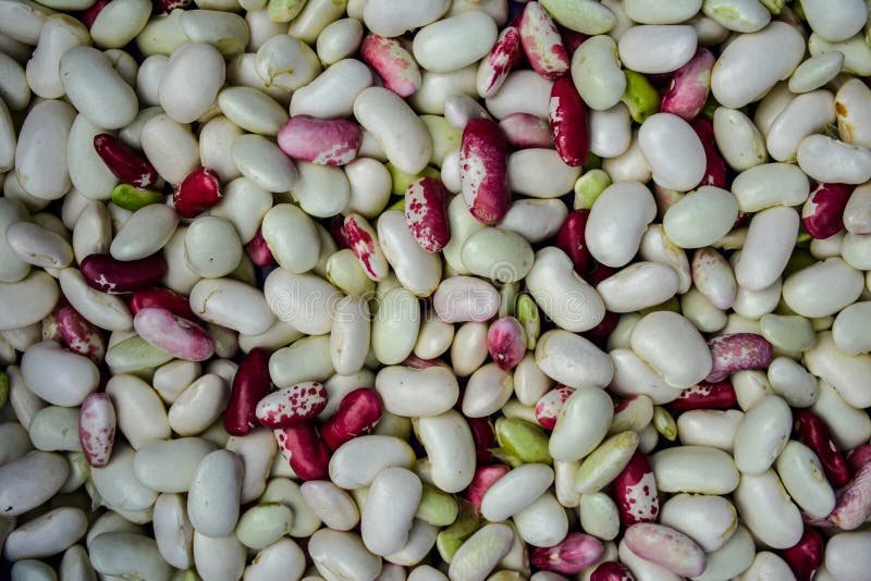 White and red beans stock image. Image of grain, closeup - 255344765