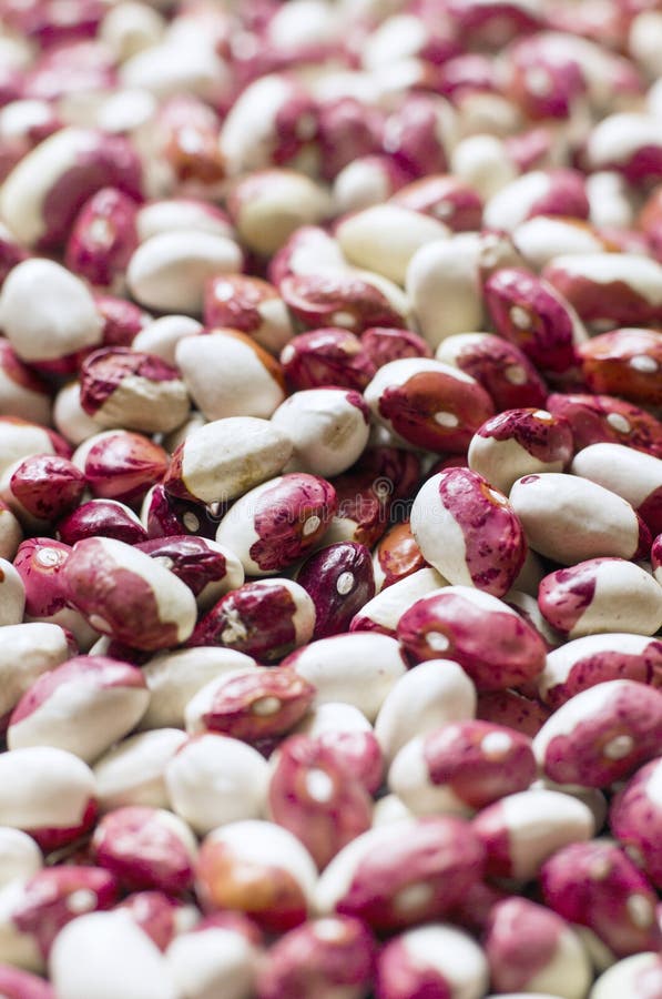 White and red beans stock photo. Image of uncooked, nourishment - 92400844
