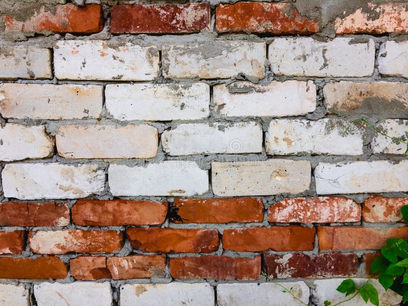 White and red brick wall. stock image. Image of concrete - 193362587