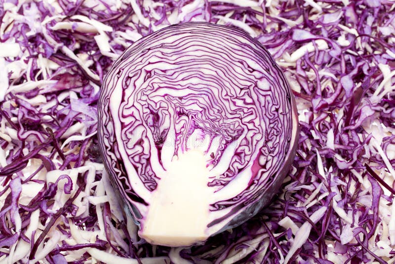 White and Red Cabbage stock photo. Image of culinary - 32312210