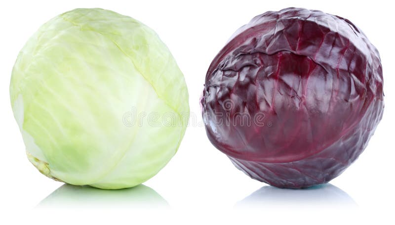 Red and White Cabbage Sliced Fresh Food Vegetable Isolated Stock Photo ...