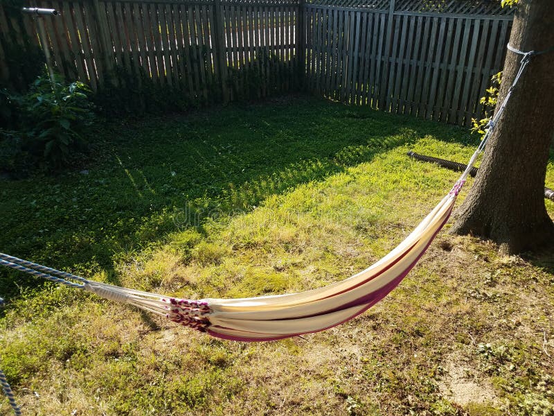 White and Red Hammock Hanging between Trees Stock Photo - Image of ...