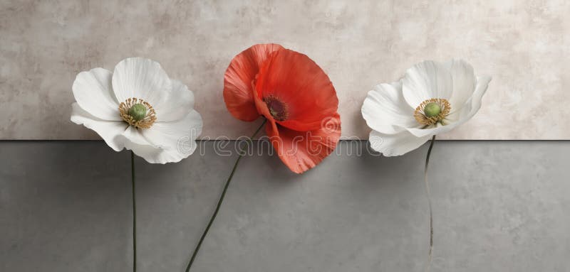 Triangular Balance Stock Illustrations – 3,107 Triangular Balance Stock ...