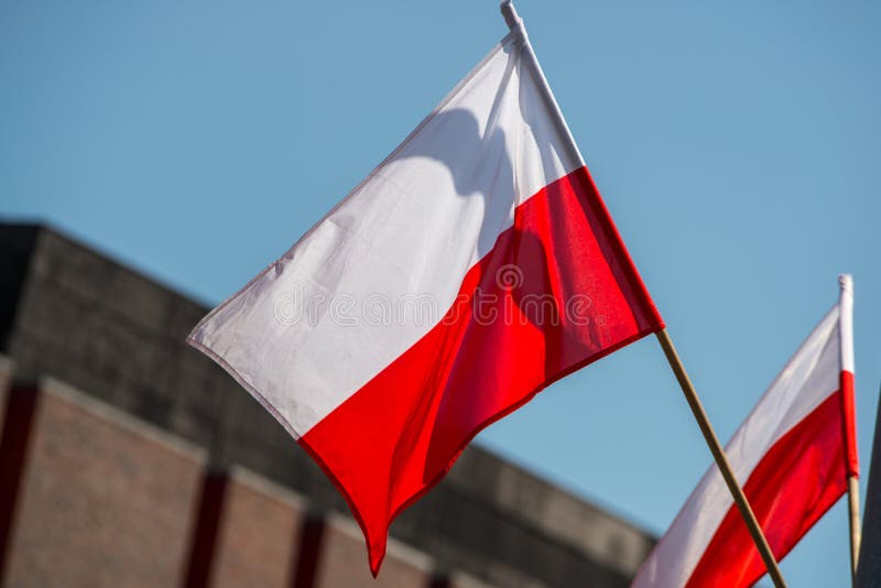 White and red Polish flag. stock photo. Image of patriotism - 116162652