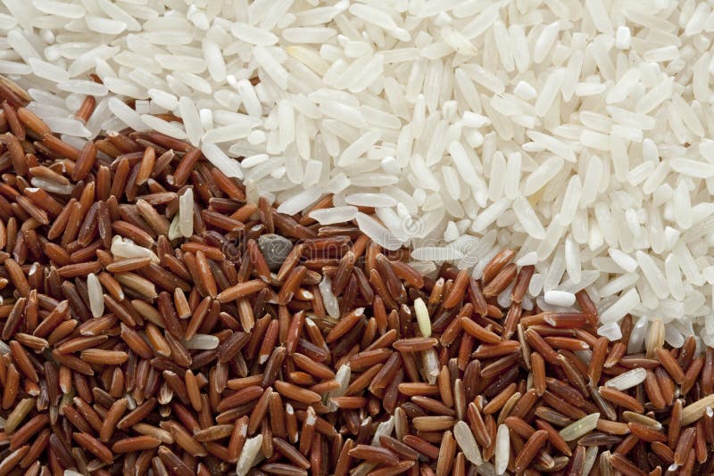 White and red rice stock image. Image of product, grain - 19762711