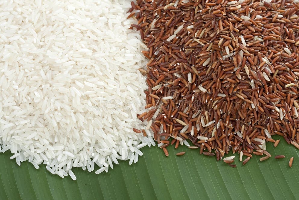 White and red rice grain stock image. Image of culture - 20730577