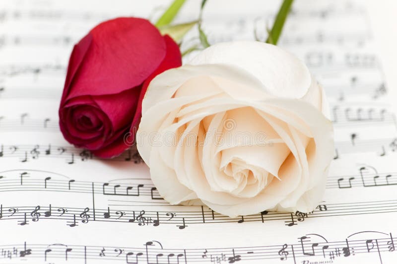 White and red roses stock image. Image of close, note - 6003807