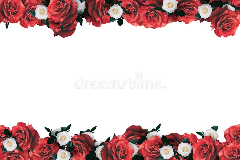 White and Red Roses Border Frame Stock Image - Image of border, natural ...