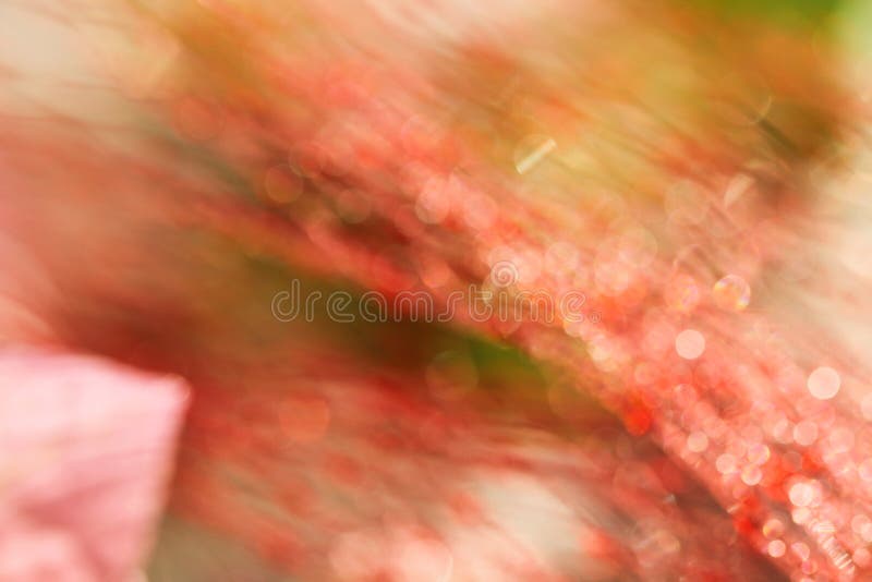 White and Red Spot Background Stock Photo - Image of line, leaf: 265148974
