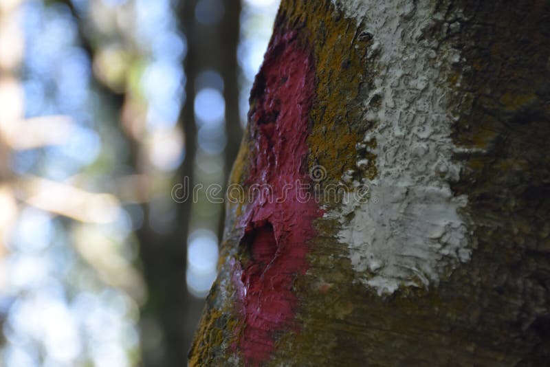 White and Red Stripe Trail Sign Stock Image - Image of white, excursion ...