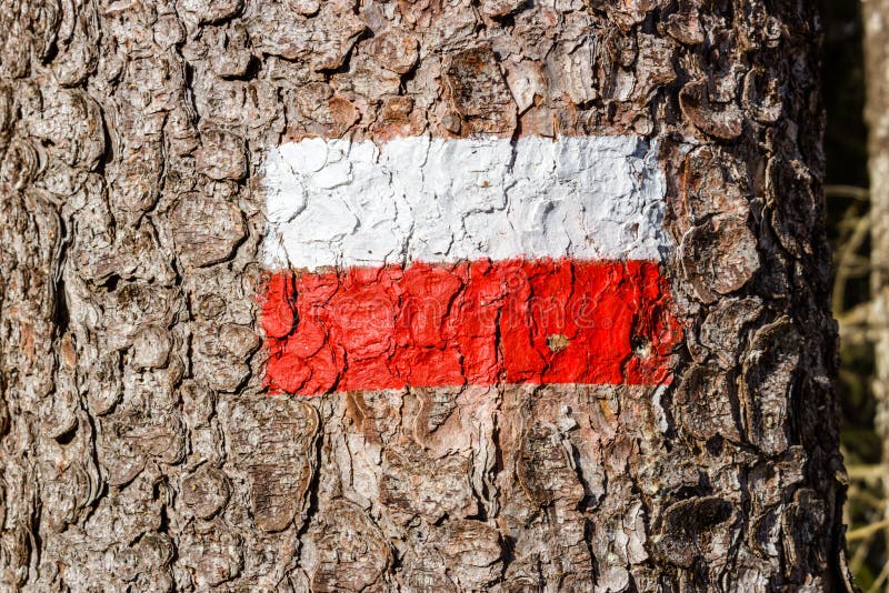White and Red Stripes Painted on Trunk Stock Photo - Image of sign ...