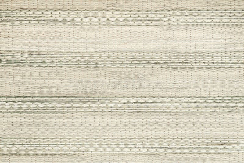 White reed field blooming stock image. Image of sunlight - 241271157