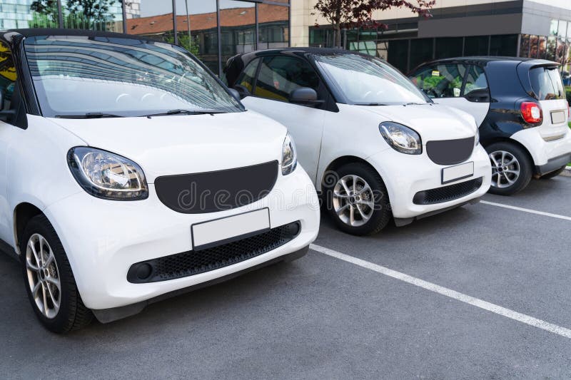 White rental cars in a row stock photo. Image of transportation - 319834302
