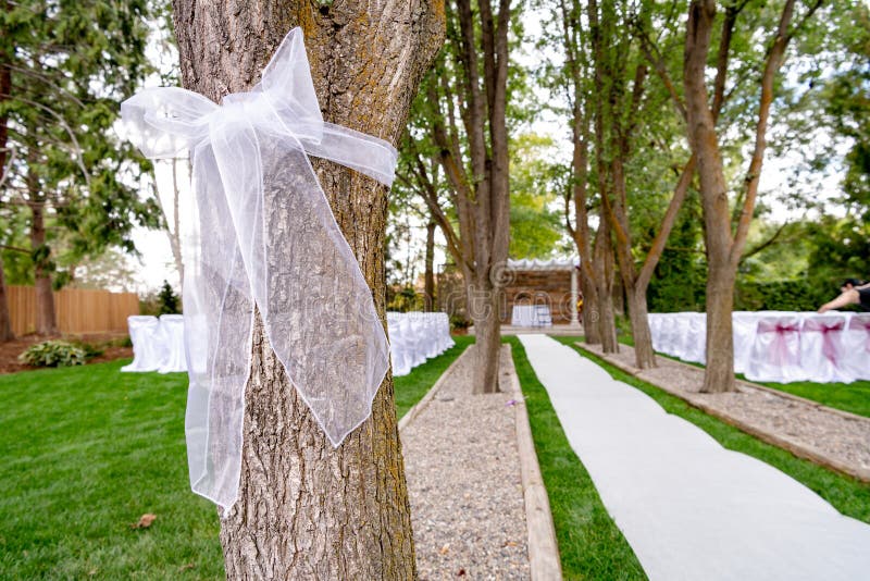 White Ribbon on a Tree at a Wedding Venue Stock Image - Image of park ...