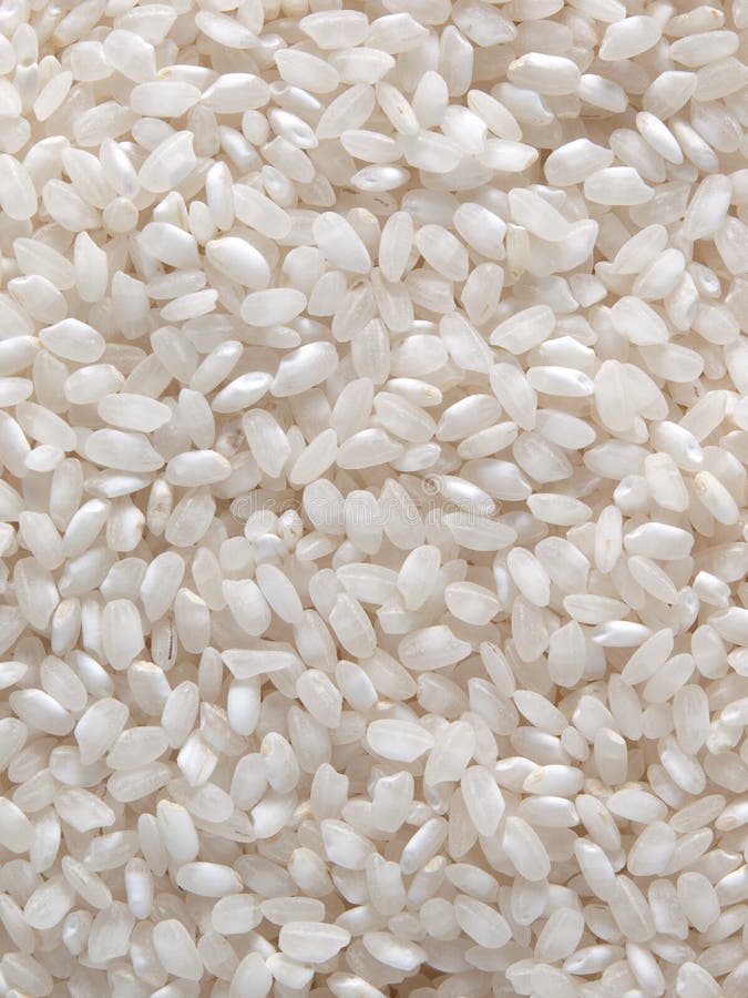White rice stock photo. Image of ingredient, cooking - 12748824