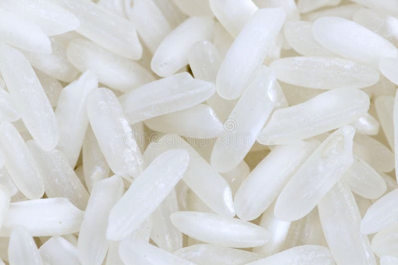 White rice stock photo. Image of healthy, ingredient, rice - 5475000