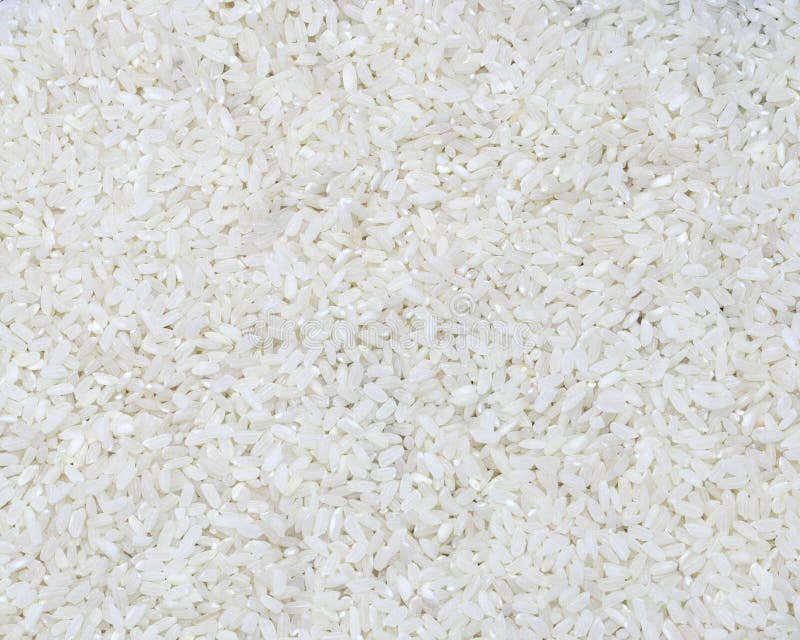 White rice stock photo. Image of ingredient, cooking - 12748824
