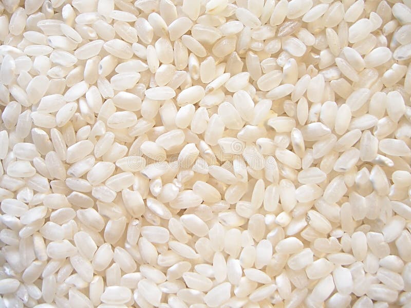 White Rice. stock photo. Image of dieting, heap, closeup - 7924820