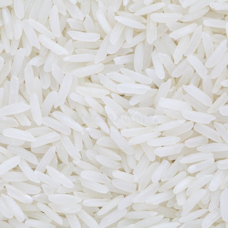 White rice stock image. Image of plant, dinner, east - 41648133