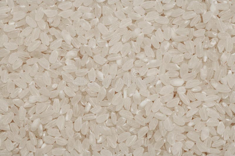 White rice background stock photo. Image of grained, lunch - 82726834