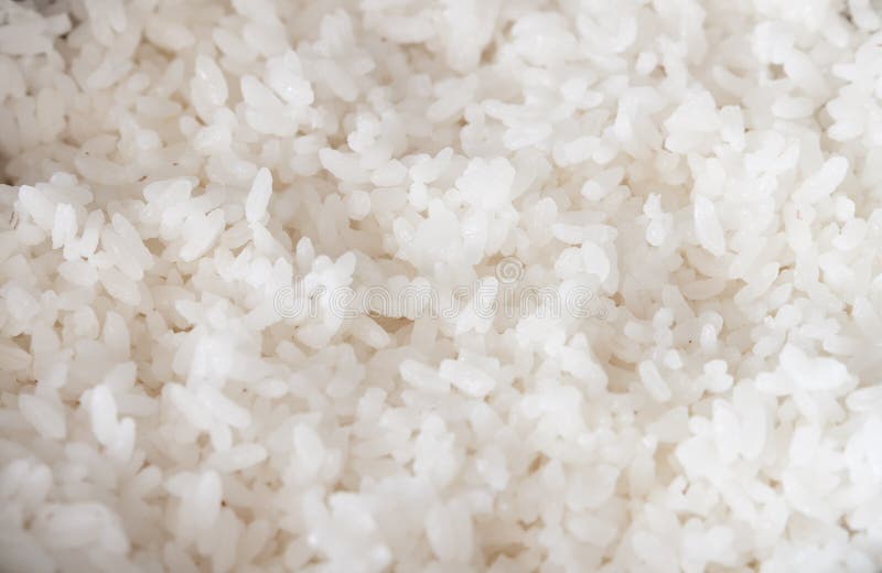 White rice background. stock image. Image of crop, agriculture - 36459037