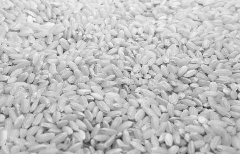 White Rice Background Texture, Long Grain Natural Rice, Jasmine Rice ...
