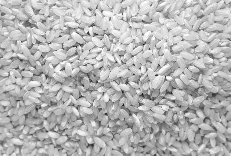 White Rice Background Texture, Long Grain Natural Rice, Jasmine Rice ...