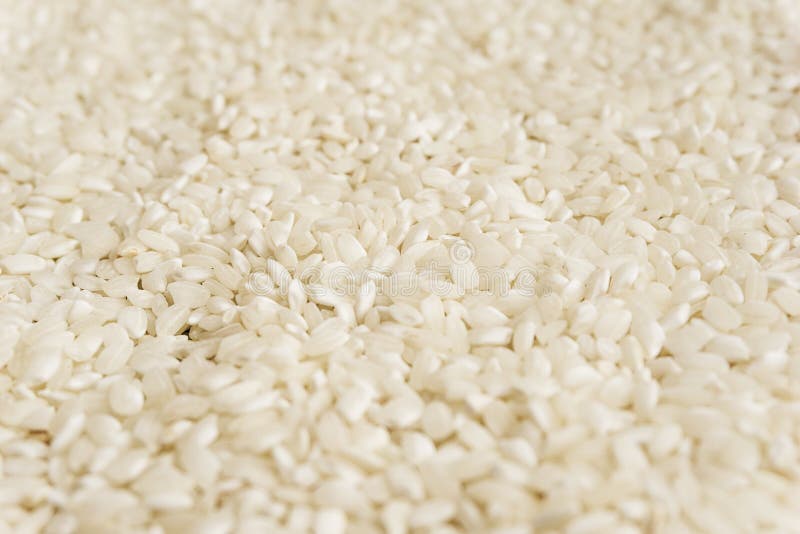 White Rice Background Texture, Long Grain Natural Rice, Jasmine Rice ...
