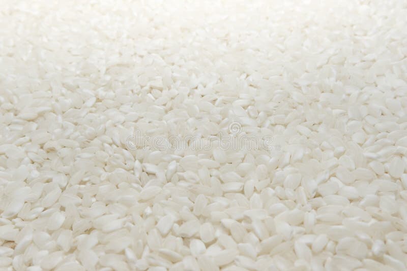 White Rice Background Texture, Long Grain Natural Rice, Jasmine Rice ...