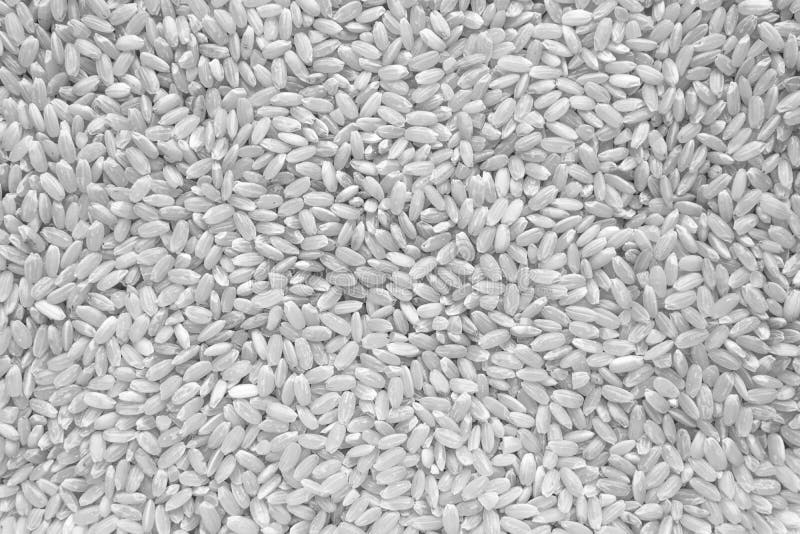 White Rice Background Texture, Long Grain Natural Rice, Jasmine Rice ...