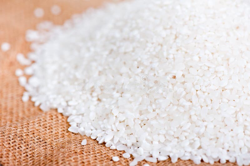 White rice stock photo. Image of bowl, diet, healthy - 64969920