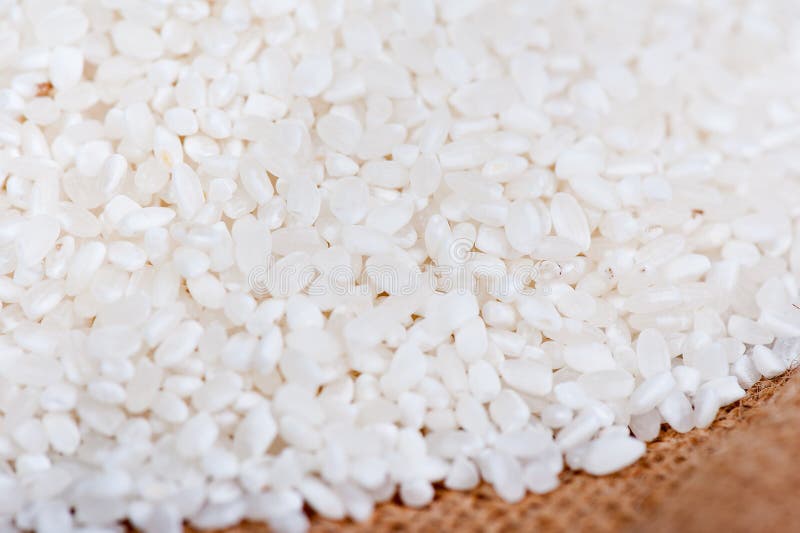 White rice stock image. Image of nature, white, closeup - 64971333