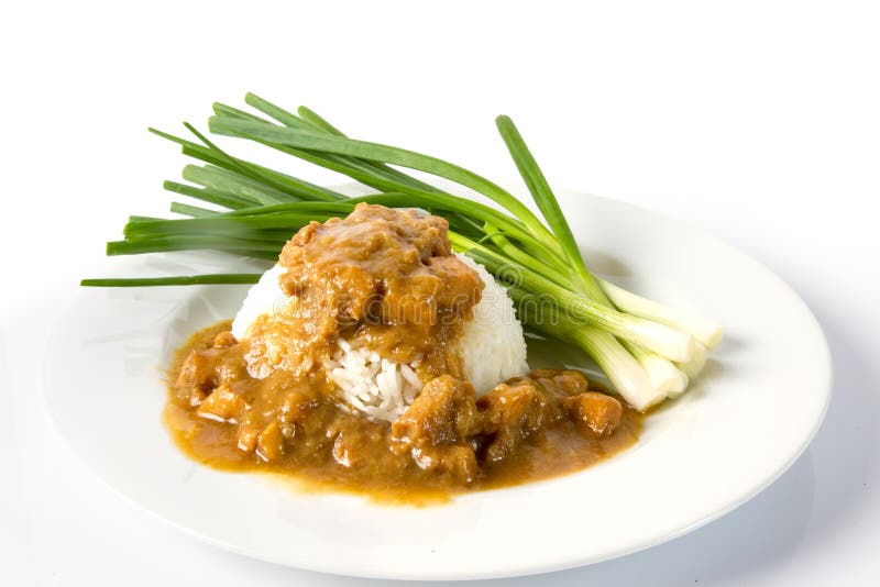 Rice with chicken stew stock image. Image of onion, rice - 30039791