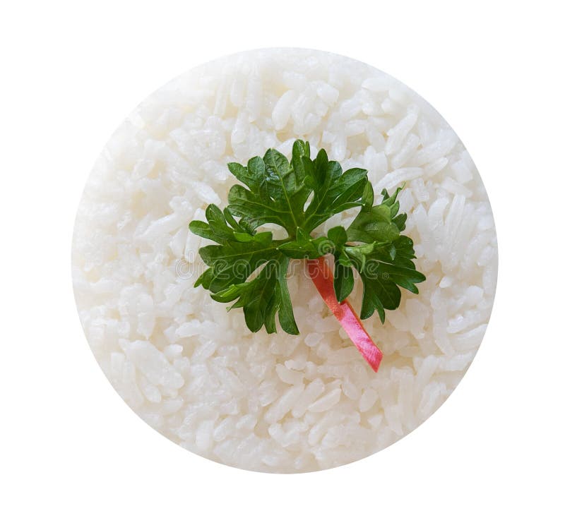Rice Curcle Stock Photos - Free & Royalty-Free Stock Photos from Dreamstime