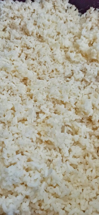 White Rice cooked stock photo. Image of vegetable, baking - 276269270