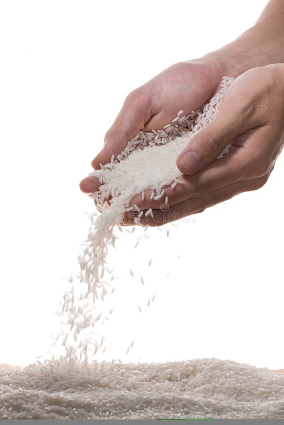 White Rice Falling Down. Jasmine Rice, Thai Rice, Raw Rice. Stock Photo ...
