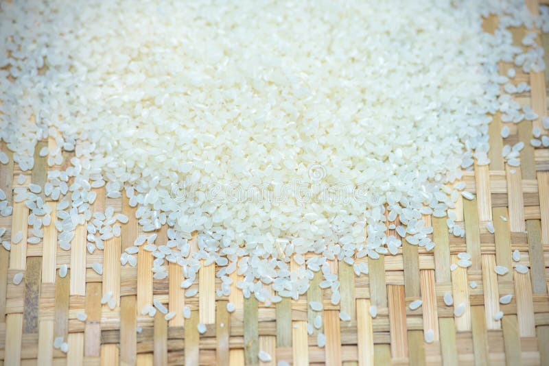 White rice grain stock photo. Image of field, grained - 87374708