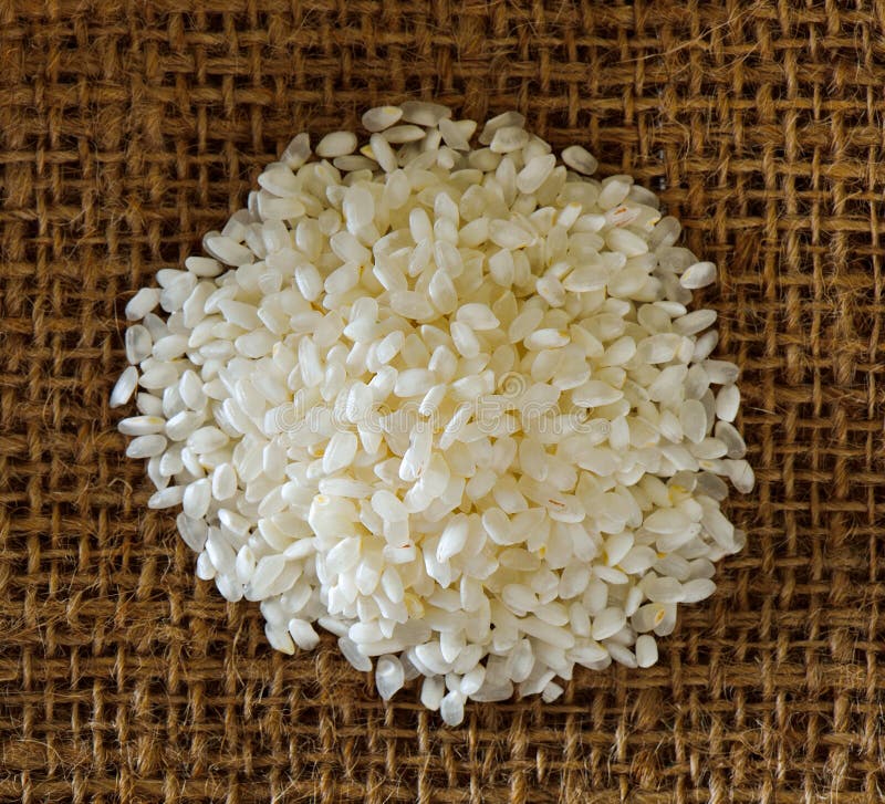 Rice grain stock photo. Image of food, white, grain, plant - 19762632