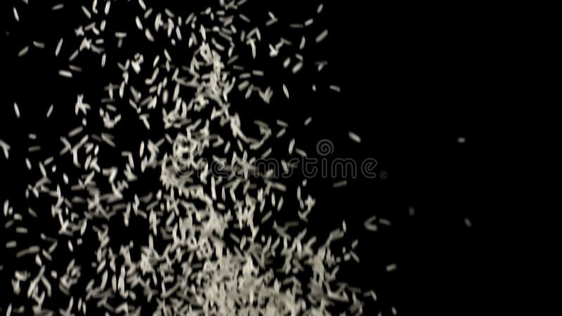 White Rice Grains Bouncing and Falling Down on Black Background Stock ...