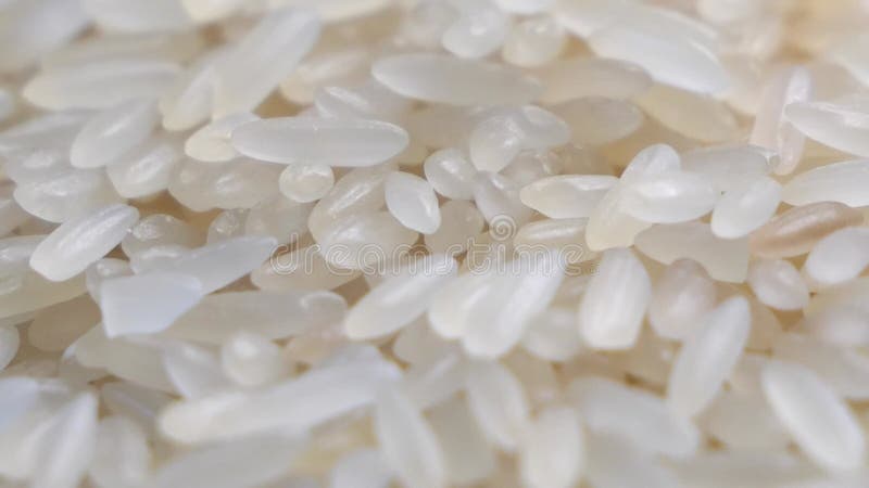 White Rice Grains, Macro Video. Rice, Full Frame. Stock Footage - Video ...