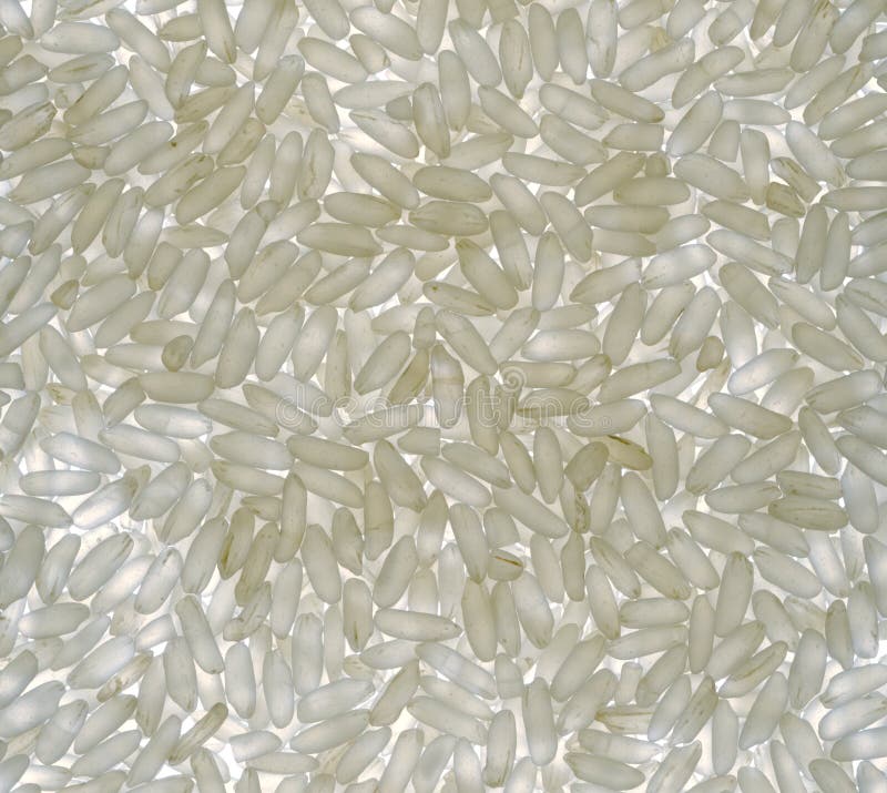 White Rice High Resolution Close Up Stock Photos - Free & Royalty-Free ...